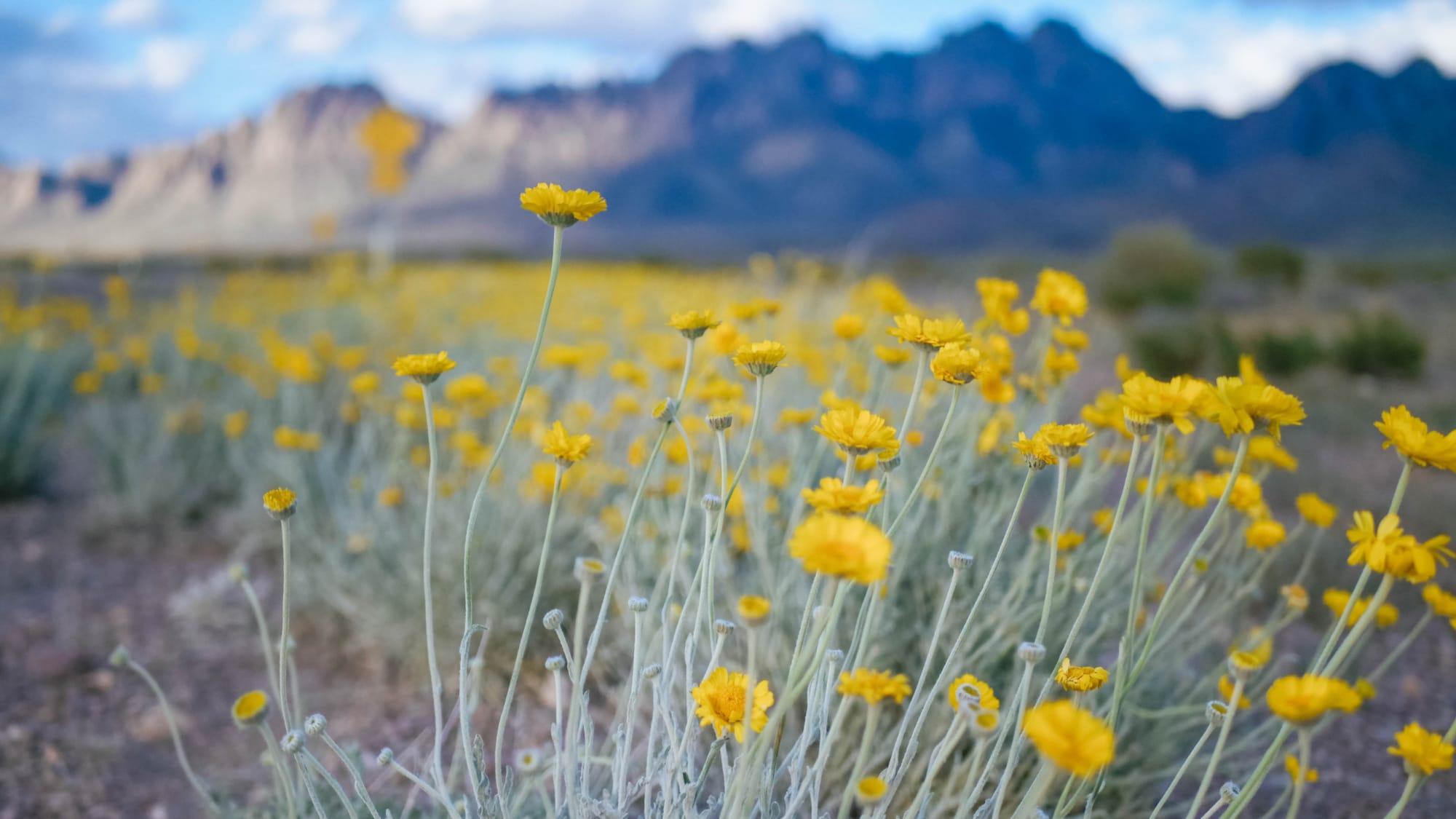 About Us - Reception Study Society