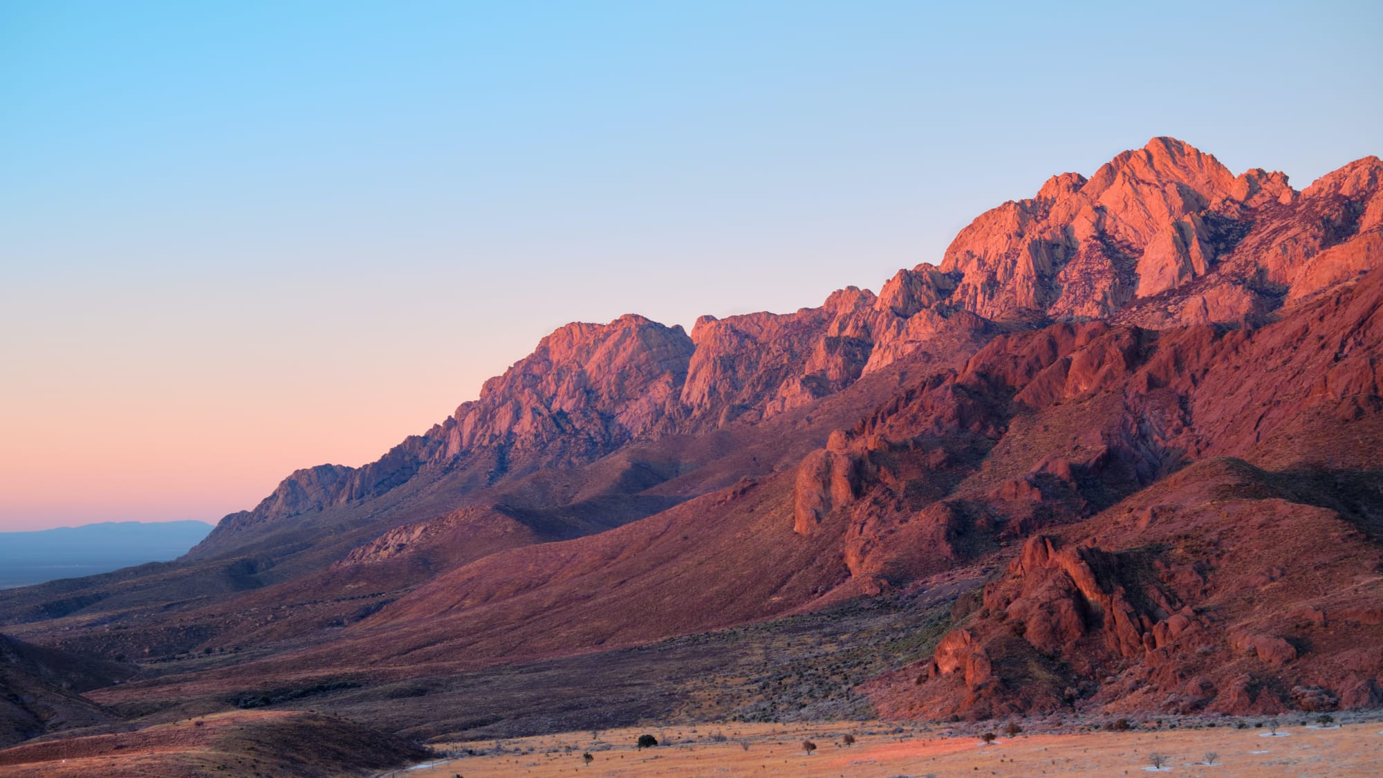 Conference - Reception Study Society